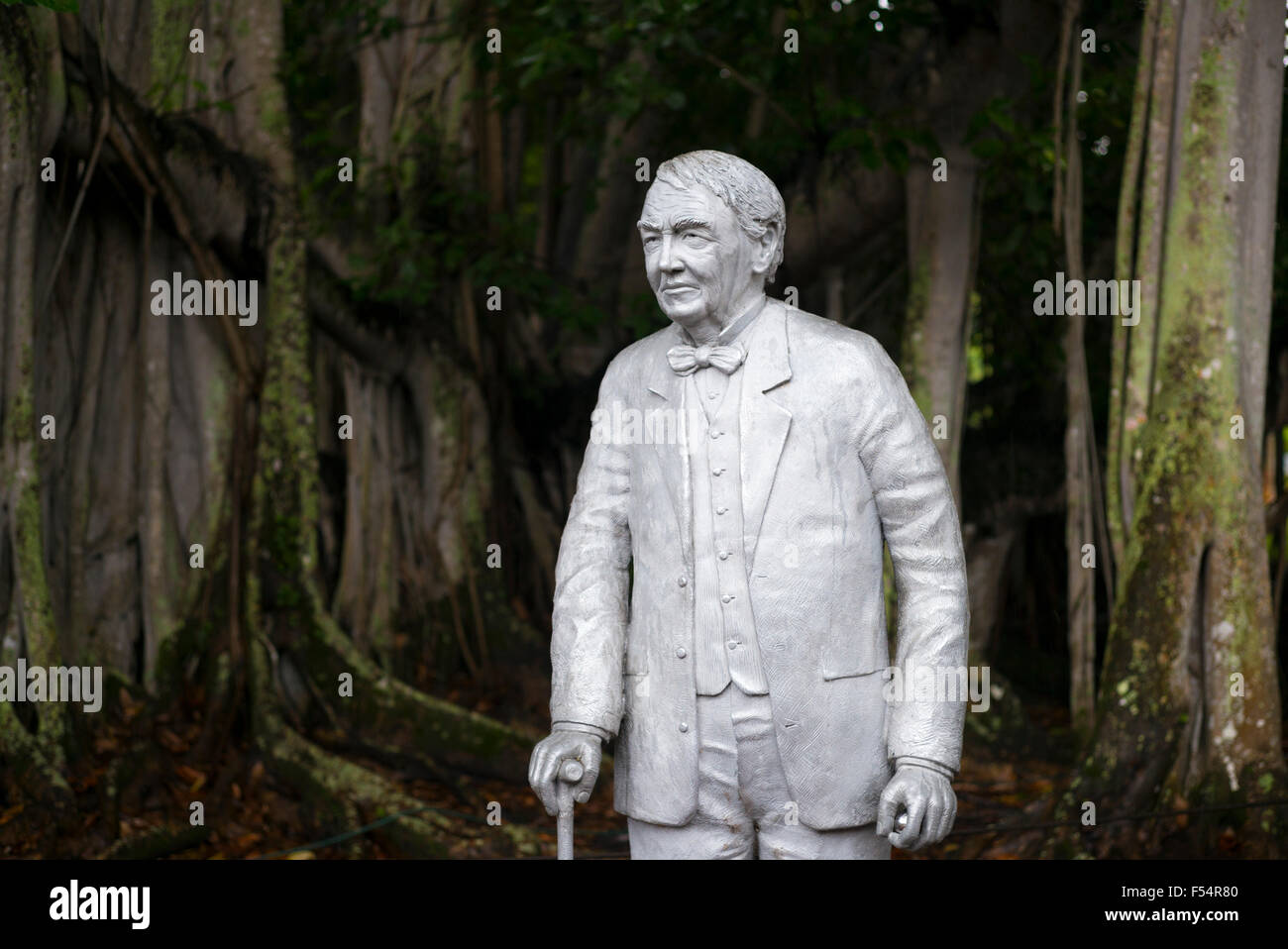 Statue of Thomas Edison by banyan tree planted by him at his winter ...