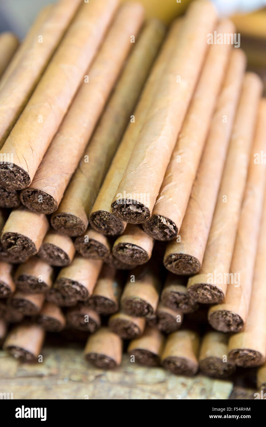 Stack of hand-rolled cigars of long leaf tobacco in traditional cigar ...