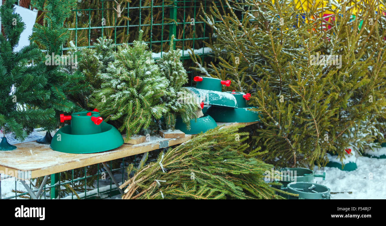 Choosing pine tree for home hi-res stock photography and images - Alamy