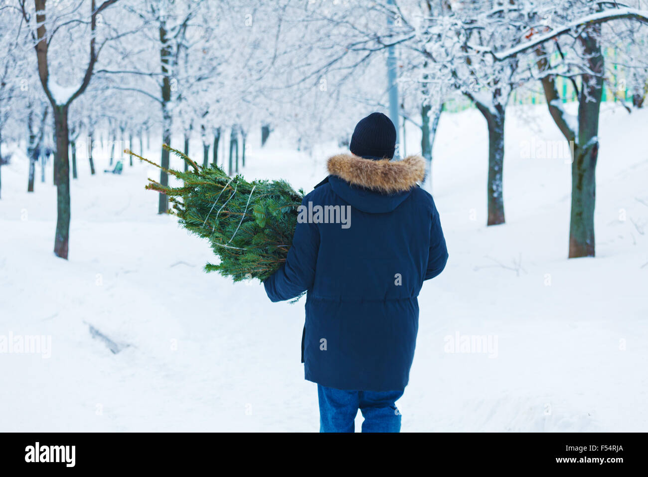 Man Carrying Christmas Tree Stock Photo - Alamy