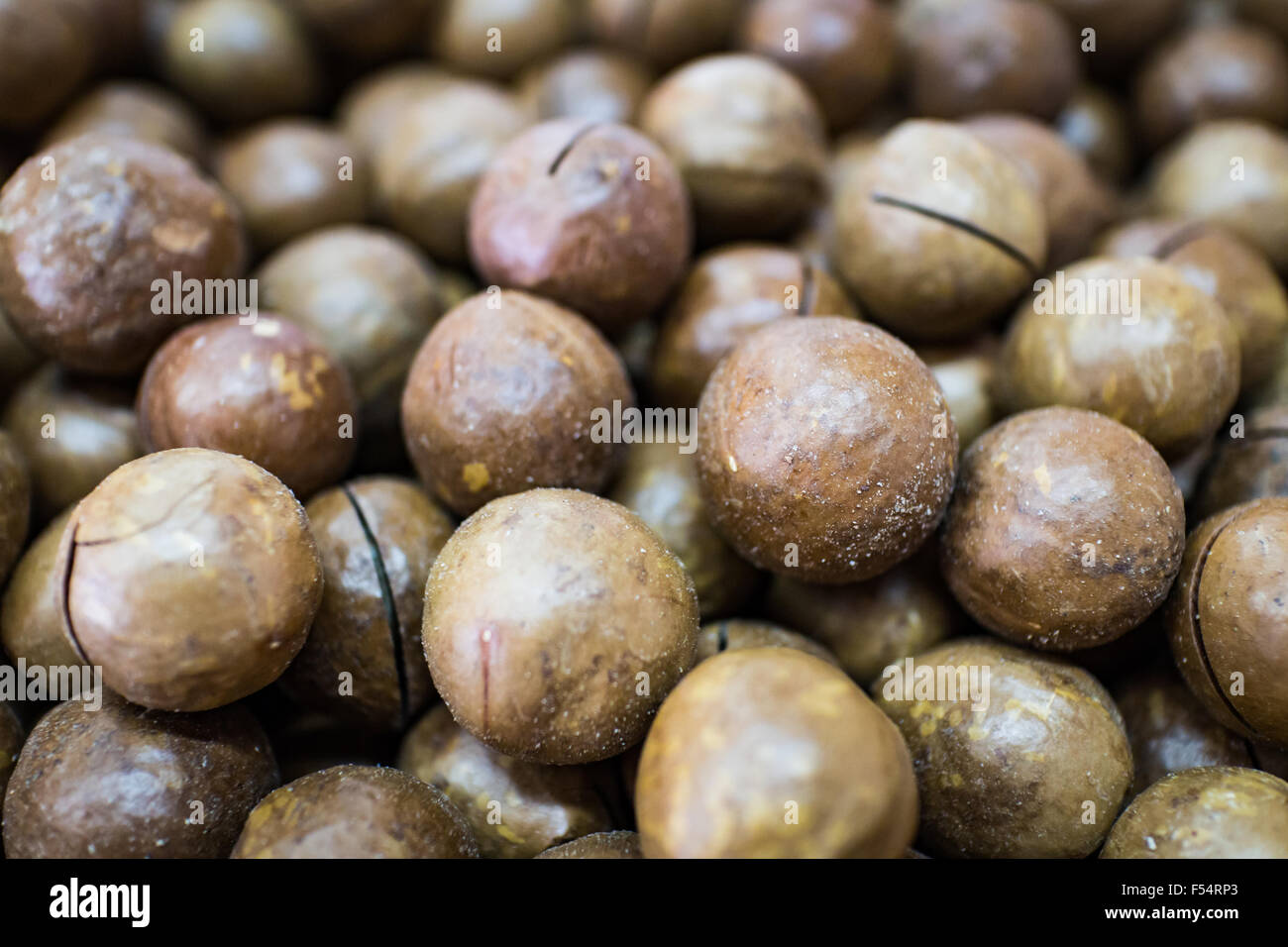 closeup macadamia nuts with nature light Stock Photo - Alamy