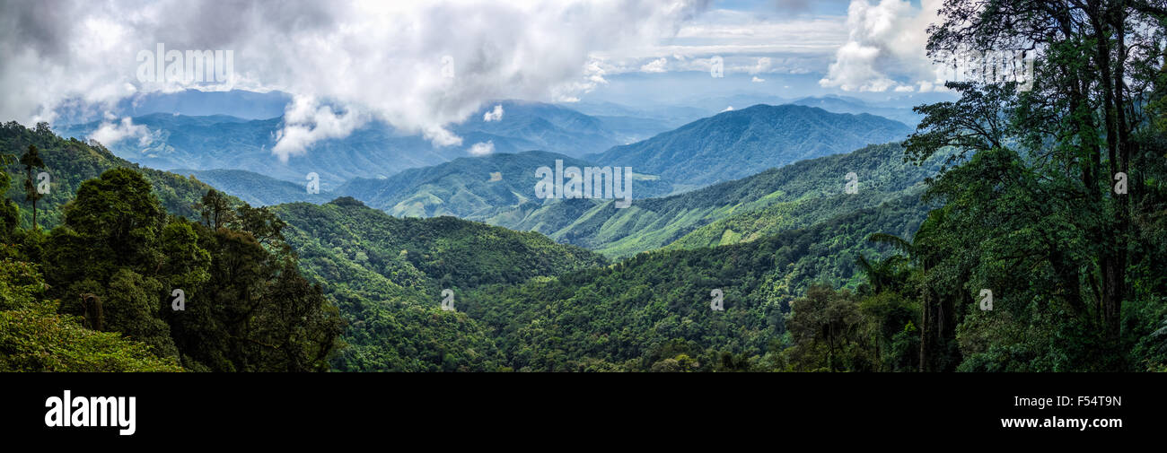 panorama of landscape mountain view forest of thailand in daylight time ...
