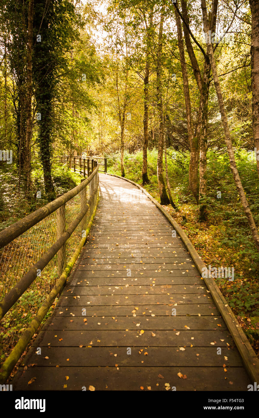 Tinahely wicklow hi-res stock photography and images - Alamy
