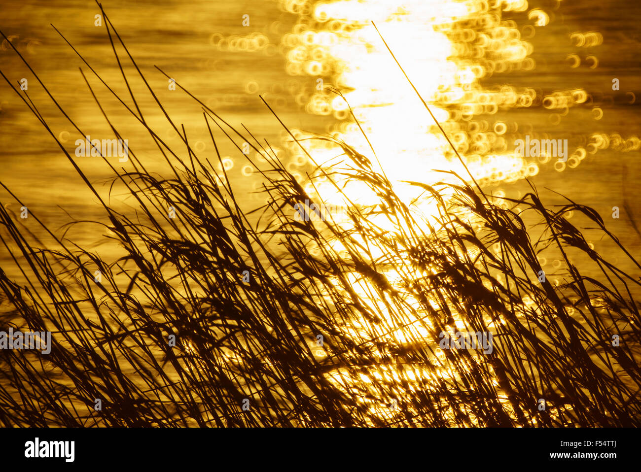 Sunset over the River Tweed, Scotland Stock Photo - Alamy