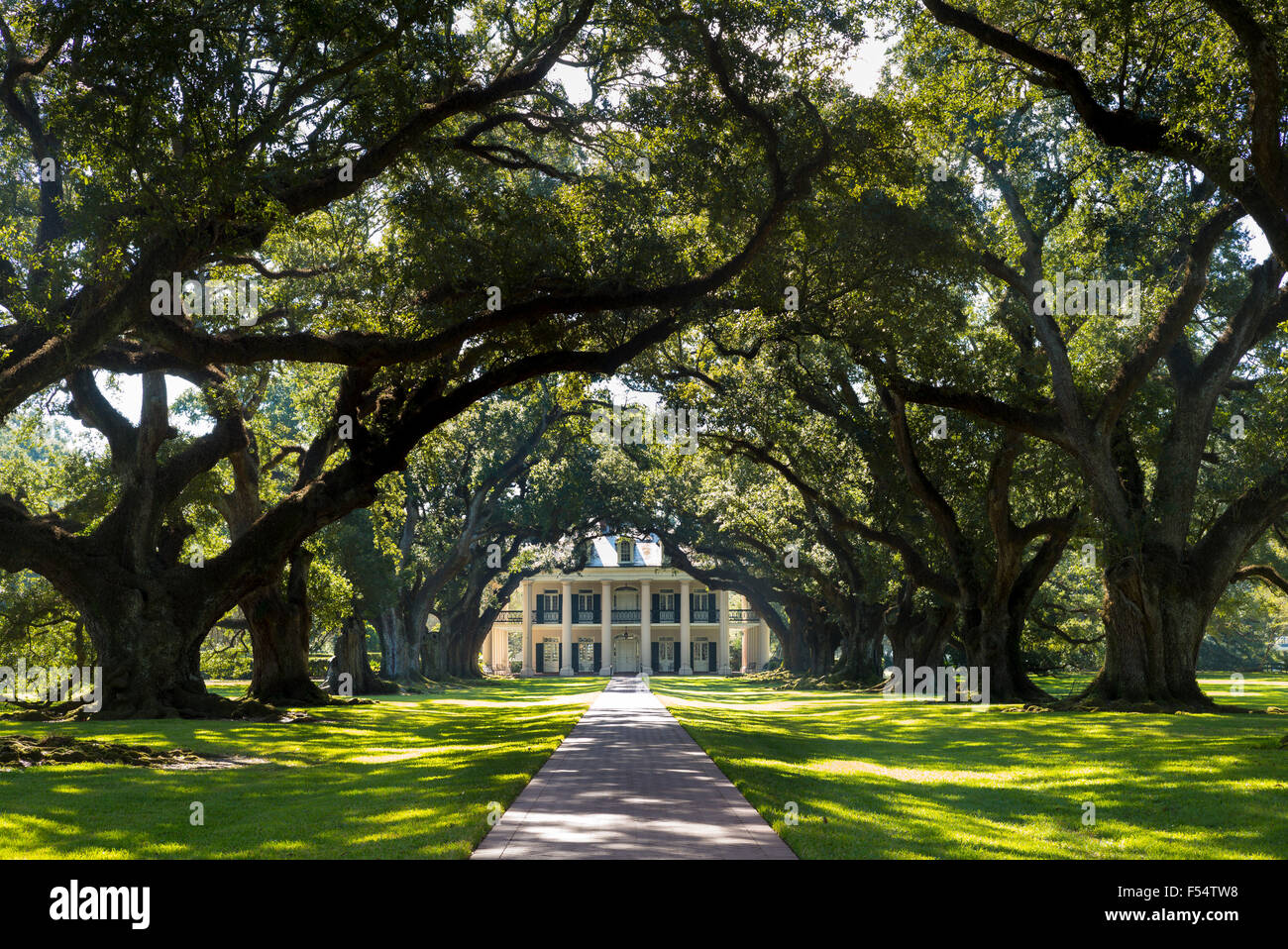 Oak Alley plantation antebellum mansion house and canopy of live oak ...