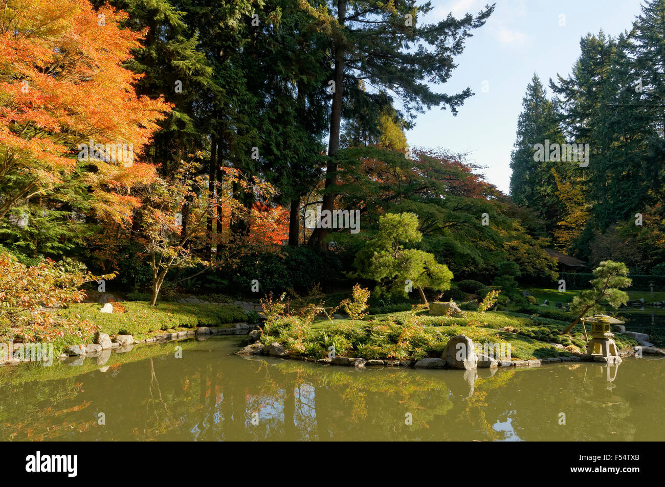 Pond and fall colors in Nitobe Memorial Garden, a traditional Japanese ...