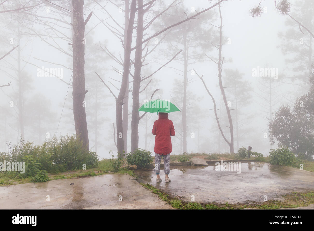 woman wear red coat open an green umbrella turn back with fog and misty ...