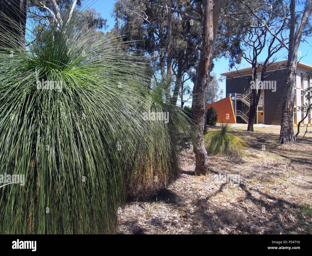 Bushy setting for the CSIRO laboratories in Floreat, Perth, Western ...