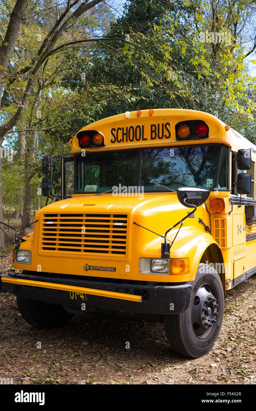 School bus usa hi-res stock photography and images - Alamy