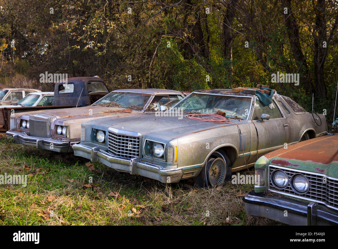 Ford auto limos in graveyard of abandoned rusty old American ...
