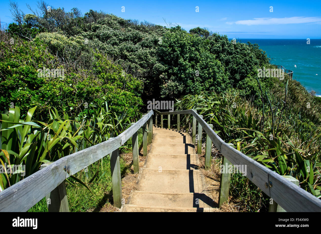 Pathway at the Muriwai Regional Park, New Zealand Stock Photo - Alamy