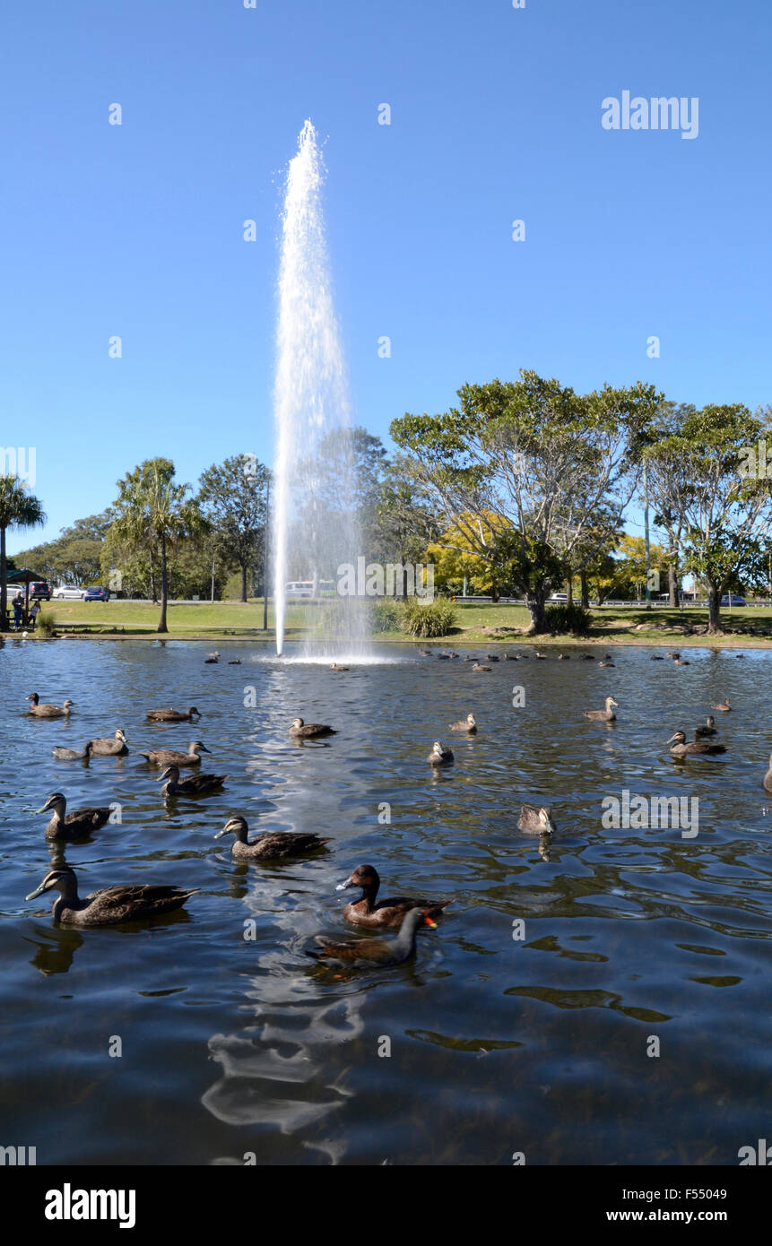 Caboolture hi-res stock photography and images - Alamy