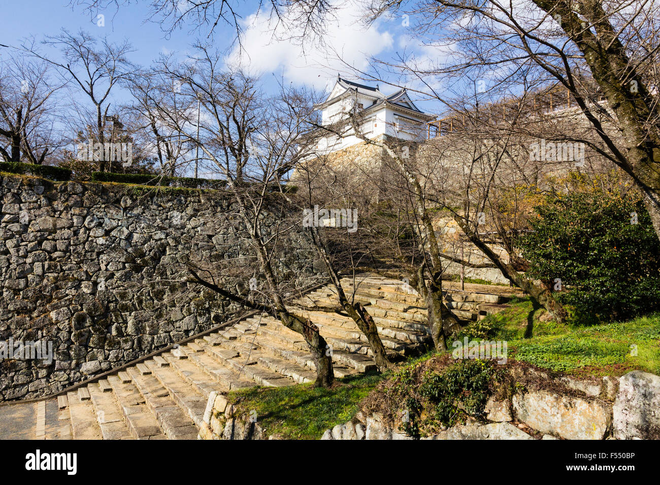 Japan, Tsuyama castle, Ishigaki walls and wide stone steps of gateway ...