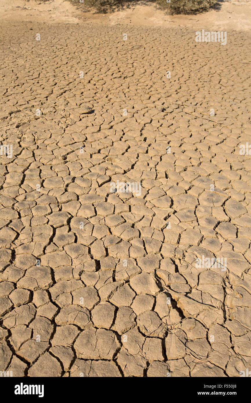 Section of deeply cracked brown ground in outback Queensland Australia ...