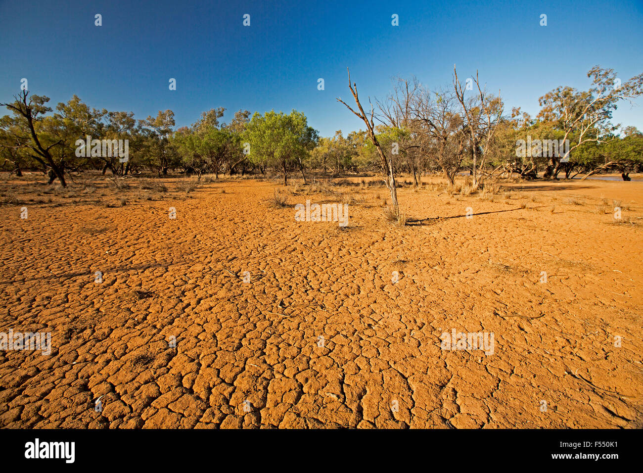 Cracked earth drought australia hi-res stock photography and images - Alamy