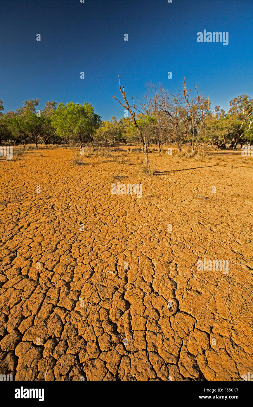 Cracked earth drought australia hi-res stock photography and images - Alamy