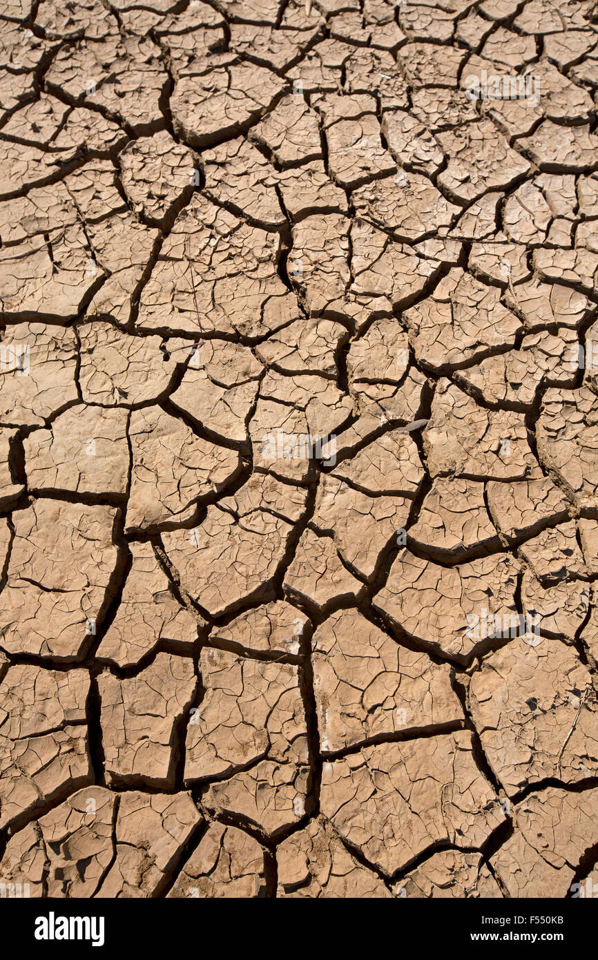 Cracked earth drought australia hi-res stock photography and images - Alamy