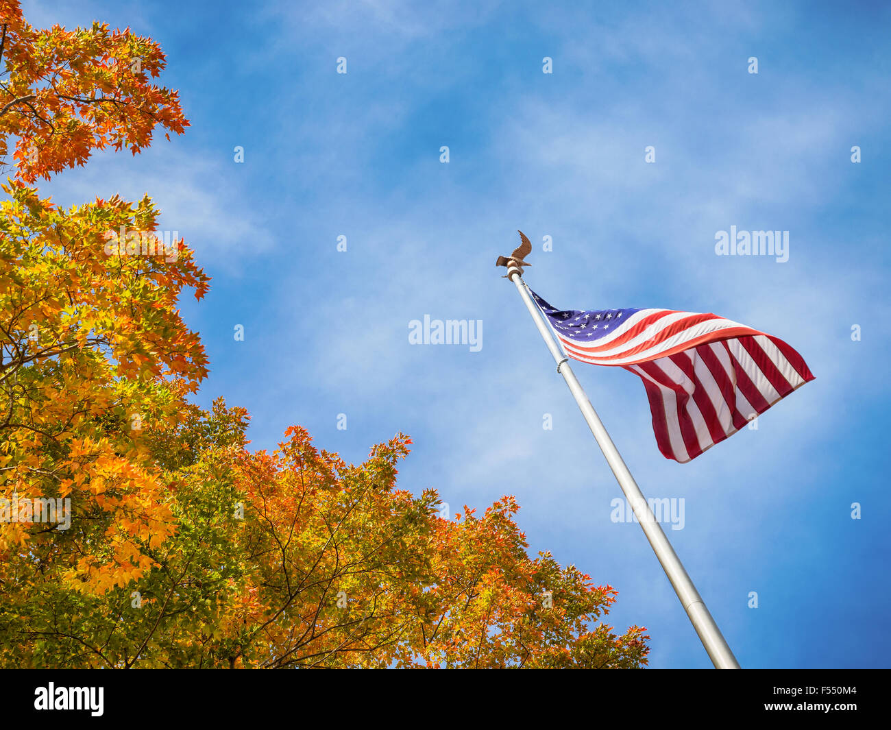American flag waving in the wind with beautiful golden autumn tree tops ...