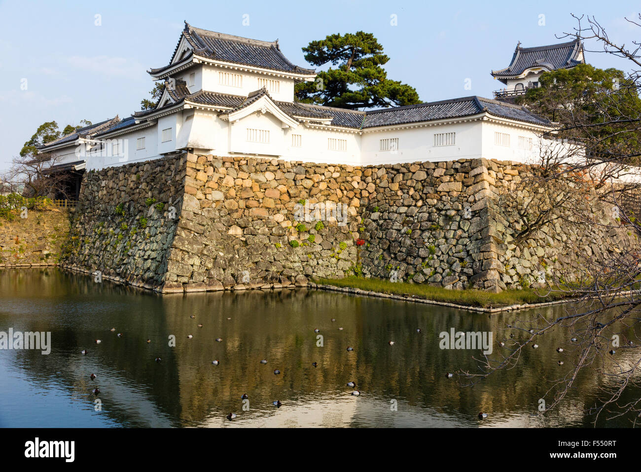 Japan, Osaka, Kishiwada castle. View across moat of the stone base with ...
