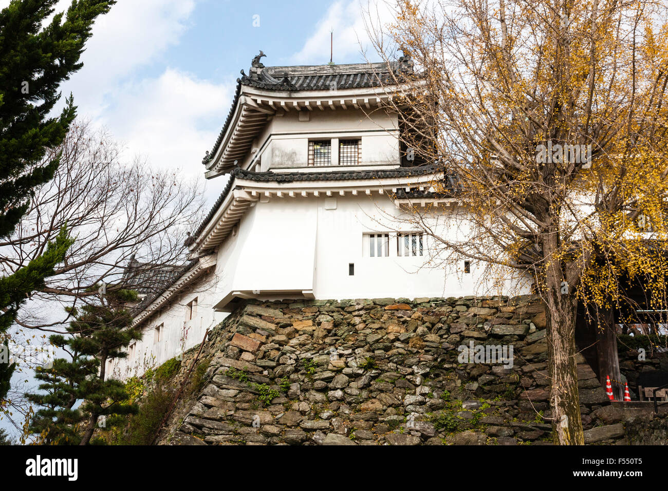 Japan, Wakayama castle, also known as Takegaki-jo, Torafusu-jo. Inui ...