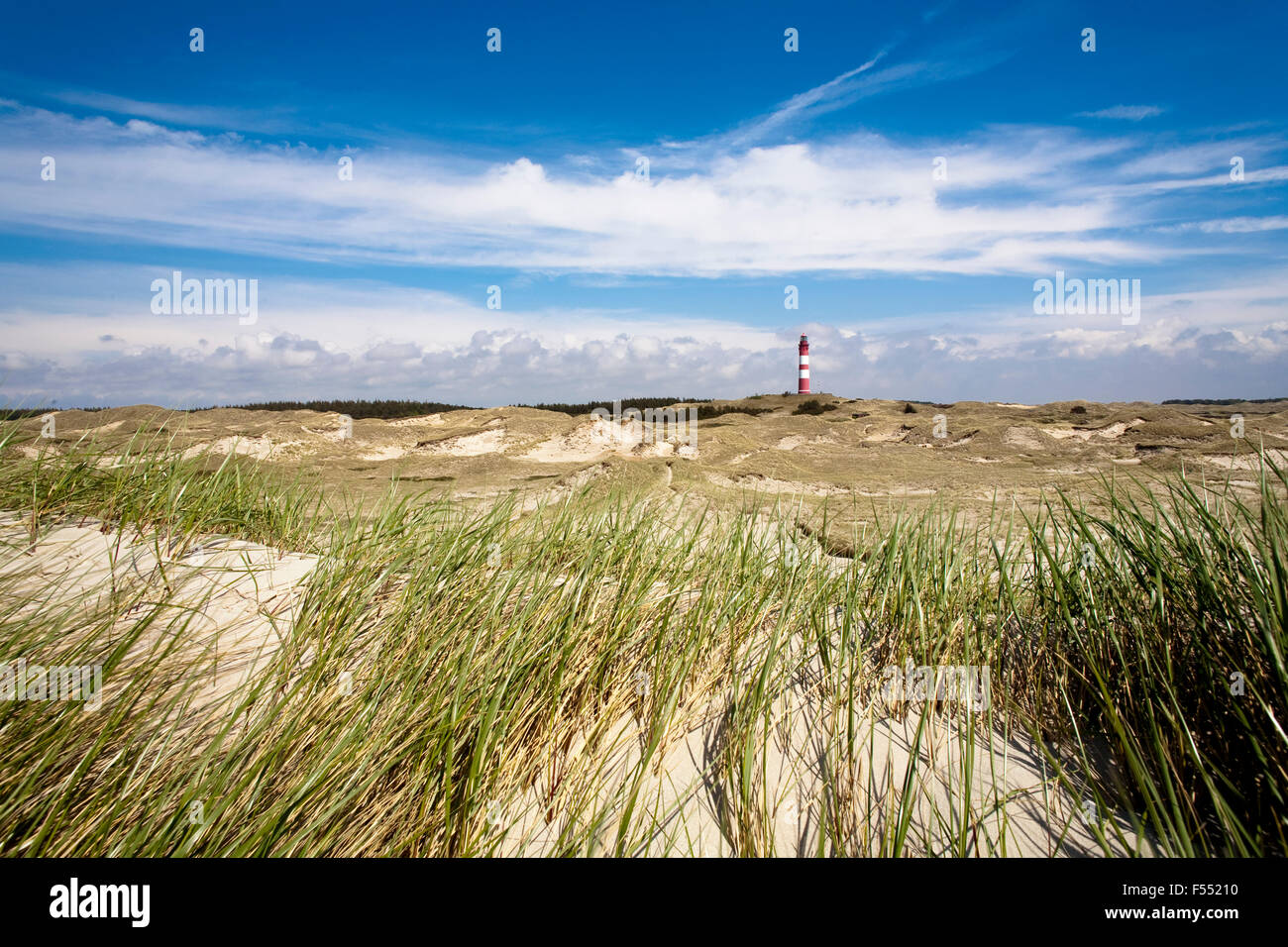 Amrum isalnd hi-res stock photography and images - Alamy