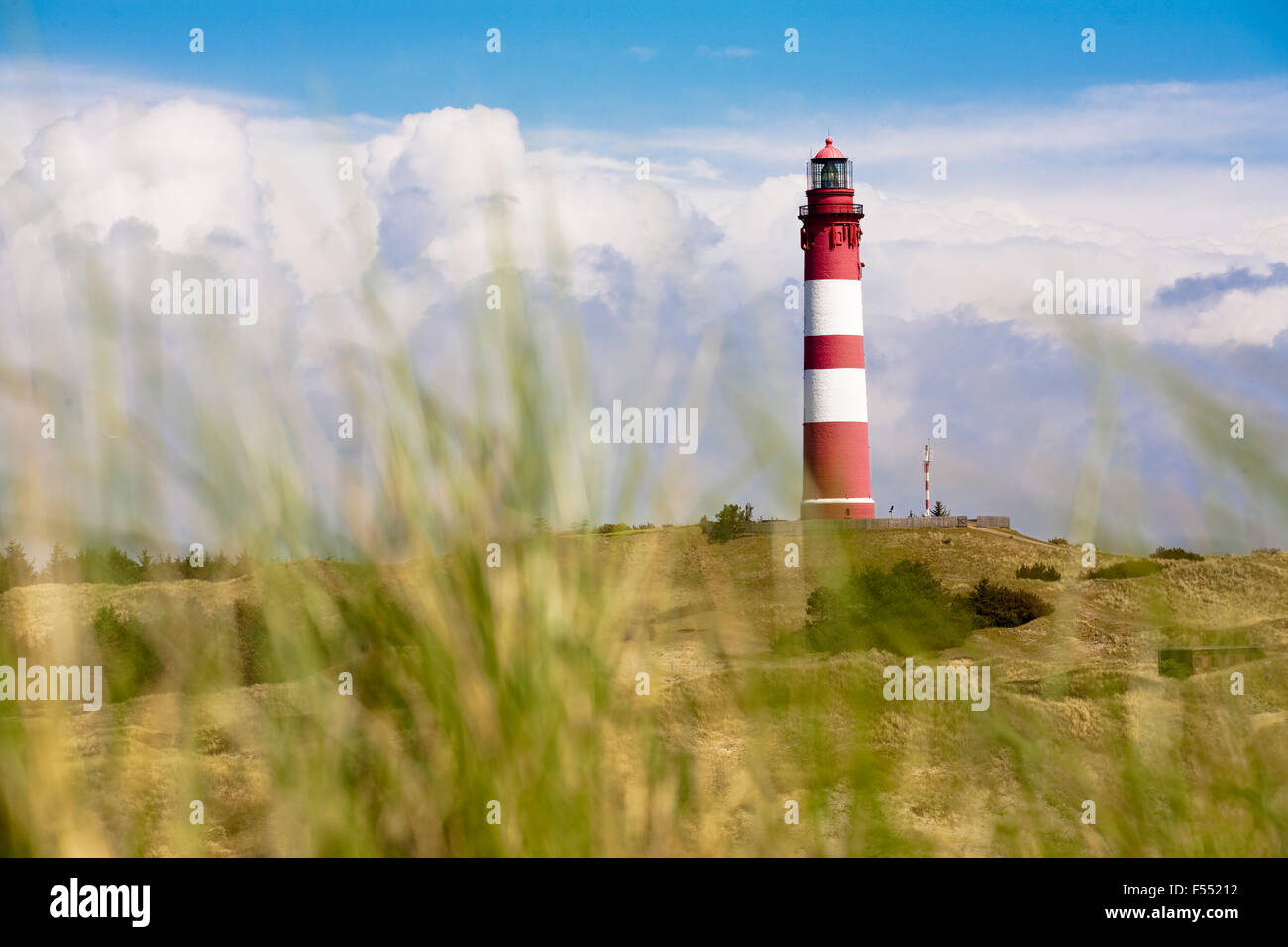 DEU, Germany, Schleswig-Holstein, North Sea, Amrum island, the ...