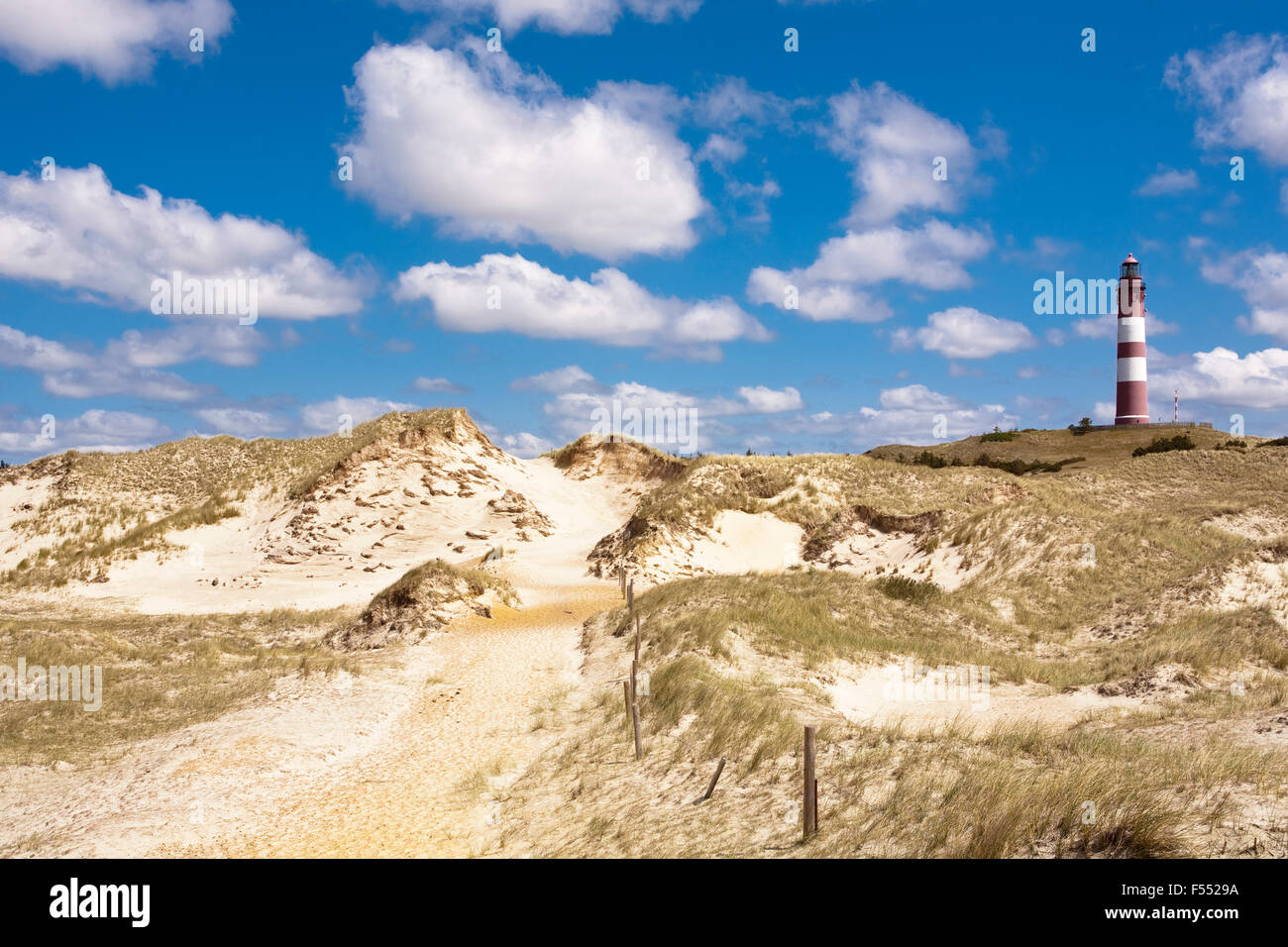 DEU, Germany, Schleswig-Holstein, North Sea, Amrum island, the ...