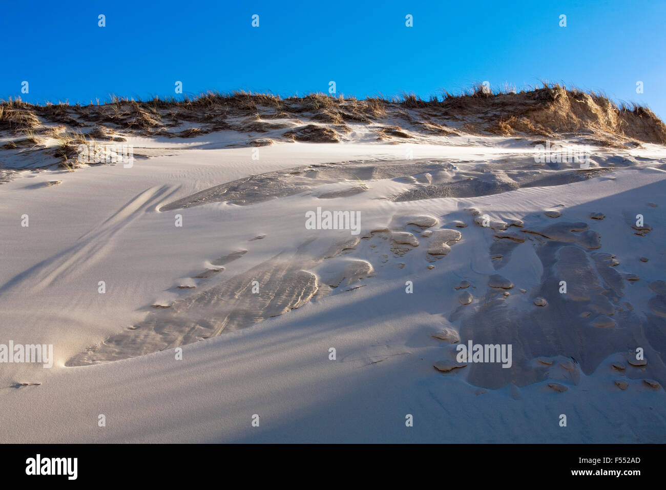 DEU, Germany, Schleswig-Holstein, North Sea, Amrum island, dunes near ...
