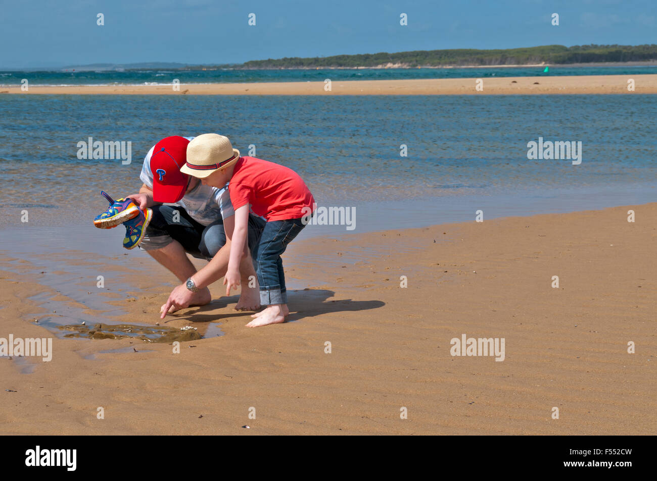 Searching for sea creatures on the beach Anderson Inlet Inverloch ...