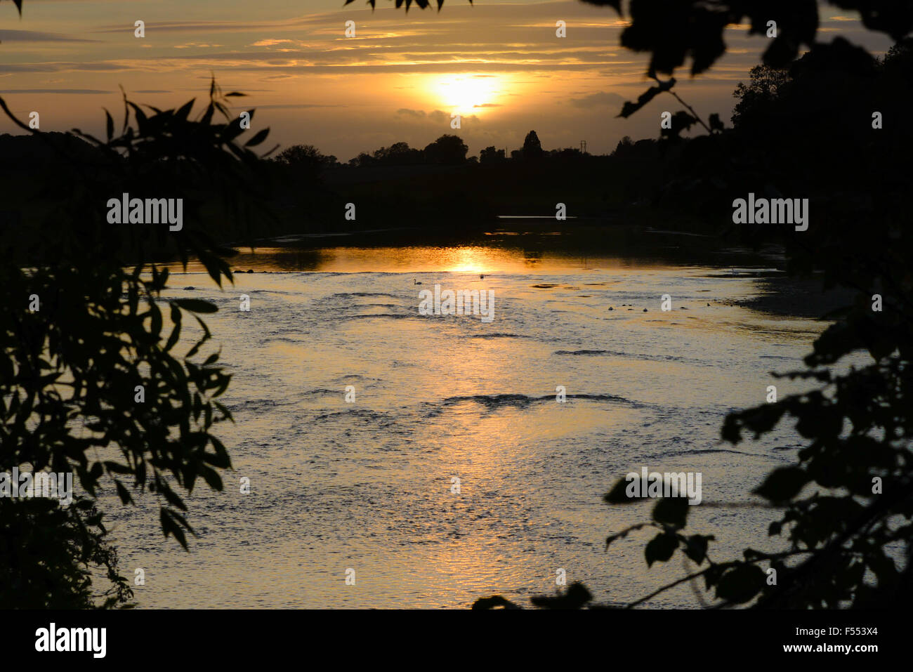The River Tweed looking up river with the English bank to the left and ...