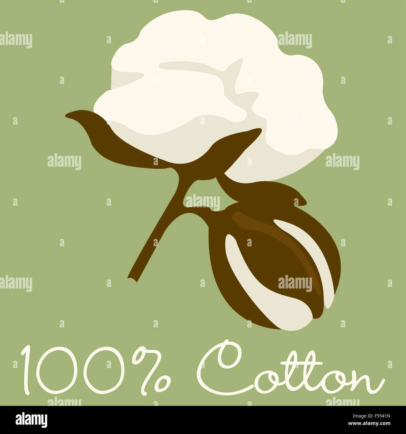 Cotton crop drawing hi-res stock photography and images - Alamy
