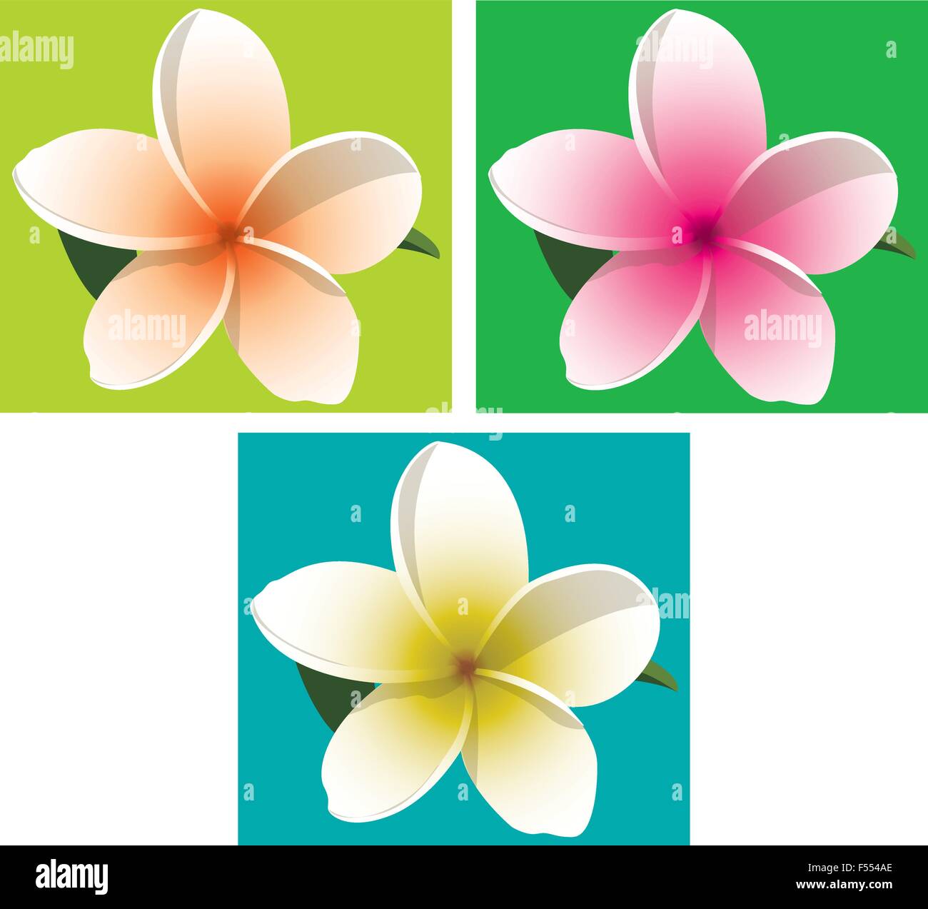 Bright Frangipani in vector format Stock Vector Image & Art - Alamy