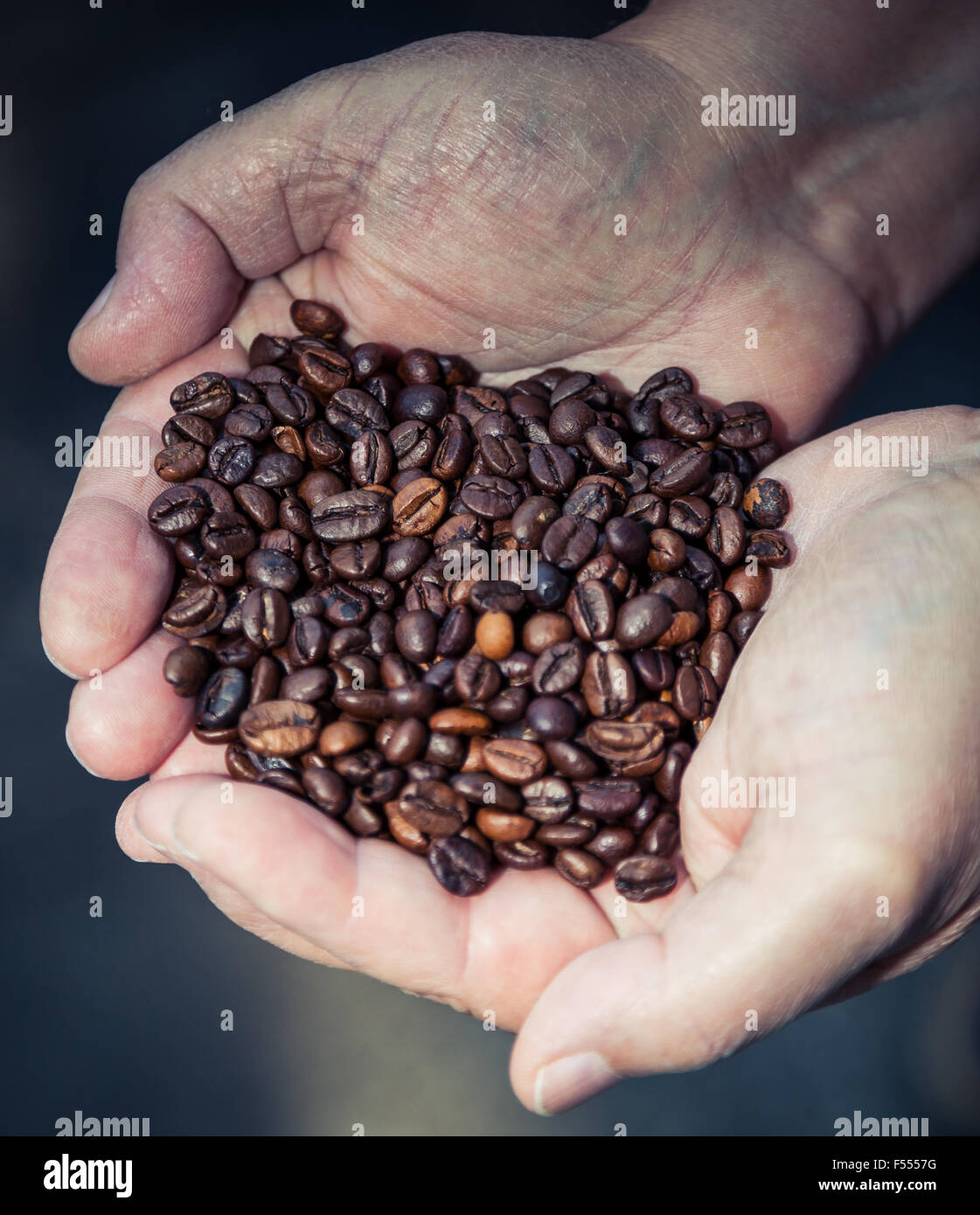 Hands holding pile of roasted coffee beans Stock Photo - Alamy