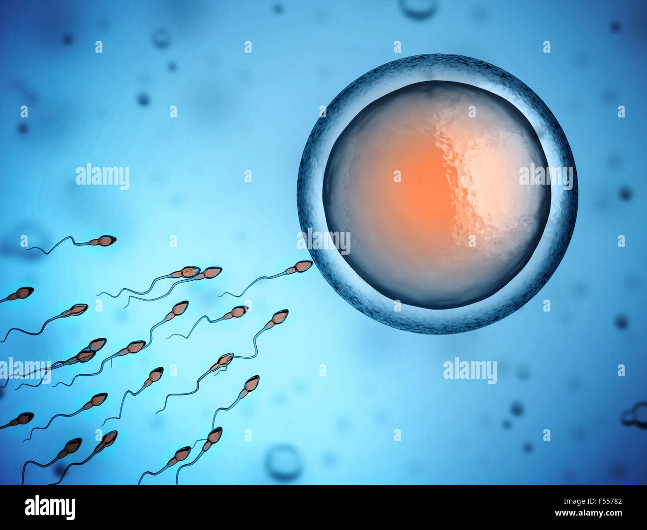 Artificial insemination hi-res stock photography and images - Alamy Artificial insemination hi-res stock photography and images - Alamy