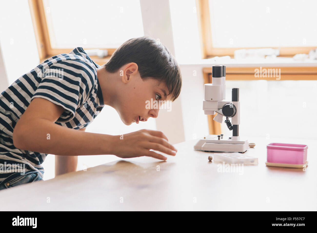 Curious boy looking at microscope on table in house Stock Photo - Alamy