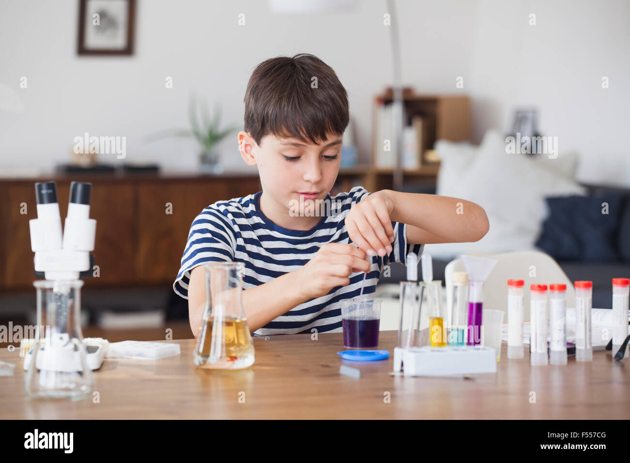 Boy concentrating on school science project at table Stock Photo - Alamy