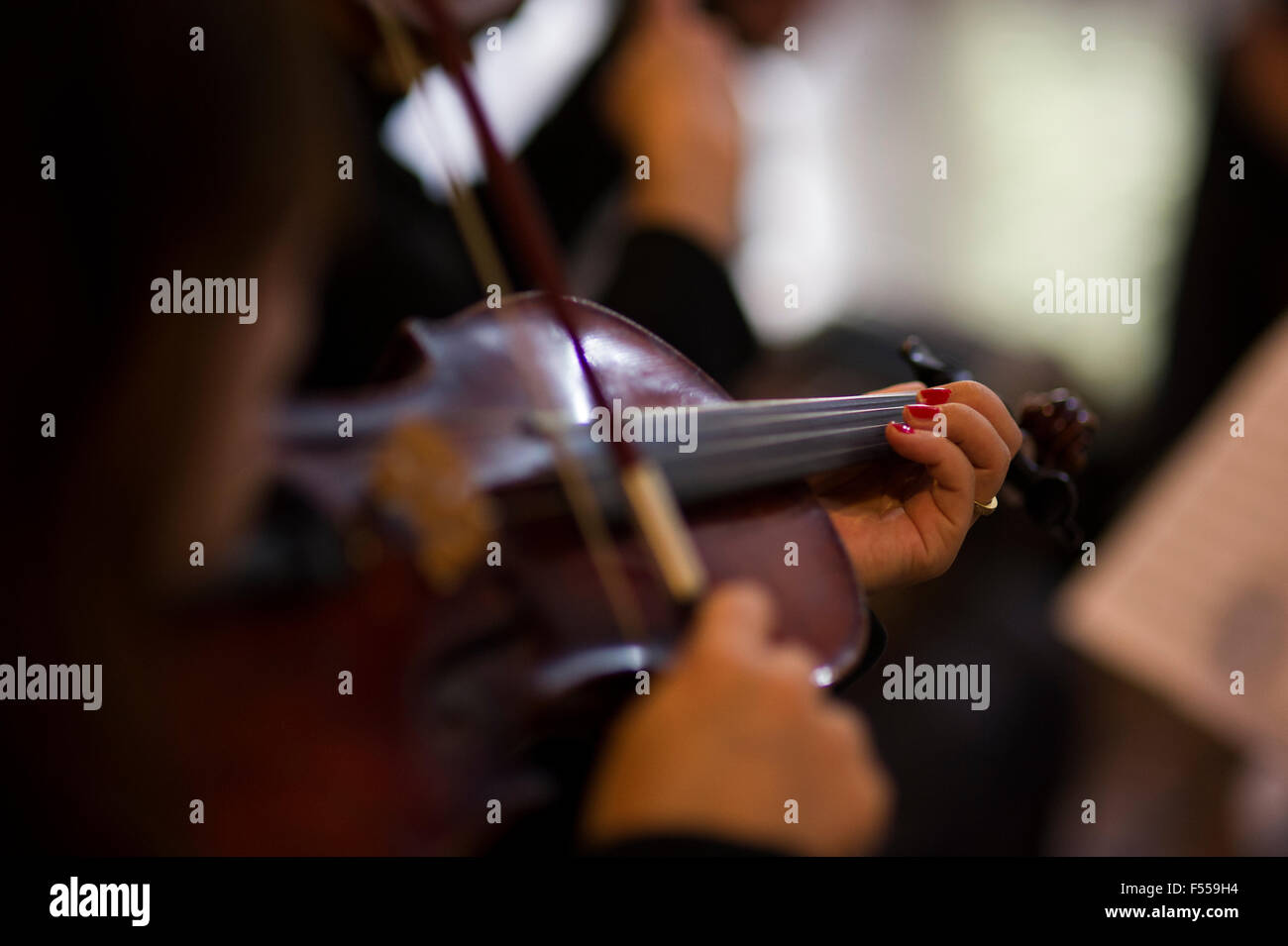 Tone of violin hi-res stock photography and images - Alamy
