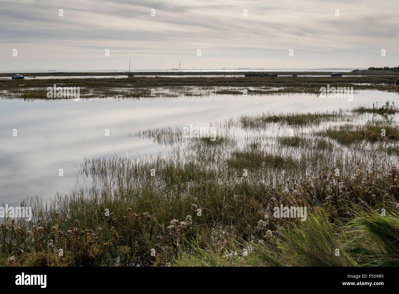 High tide at Leigh on Sea salt marsh with Canvey Island and the power ...