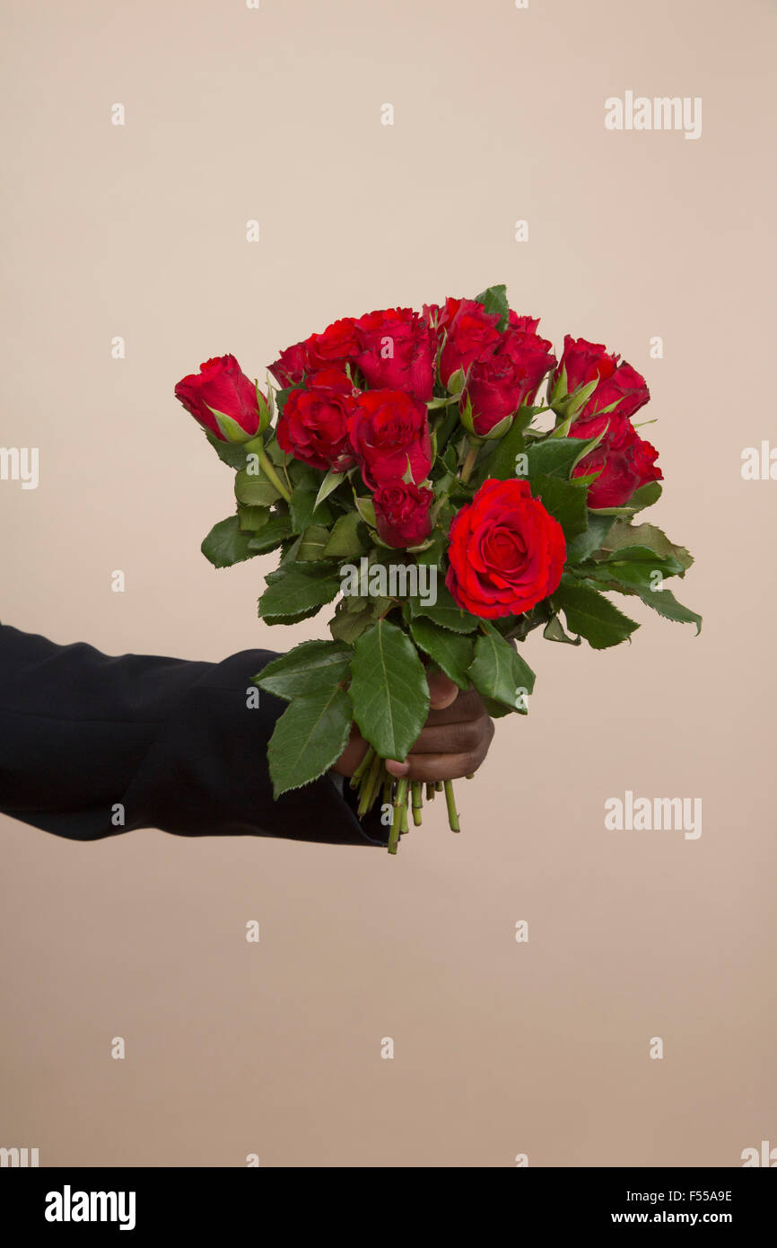 Cropped hand holding roses against colored background Stock Photo - Alamy