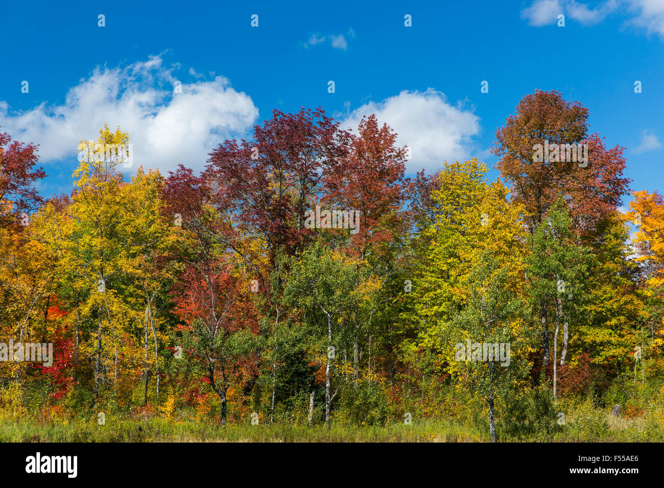 Changing scenery hi-res stock photography and images - Alamy