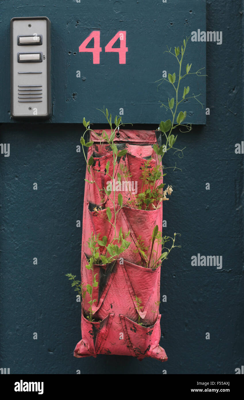 Saplings in fabric hanging below information sign on wall Stock Photo ...