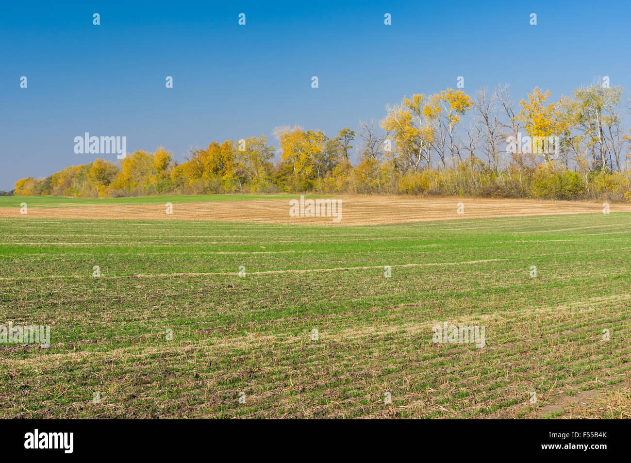 Ukrainian country landscape with seasonal agricultural fields Stock ...