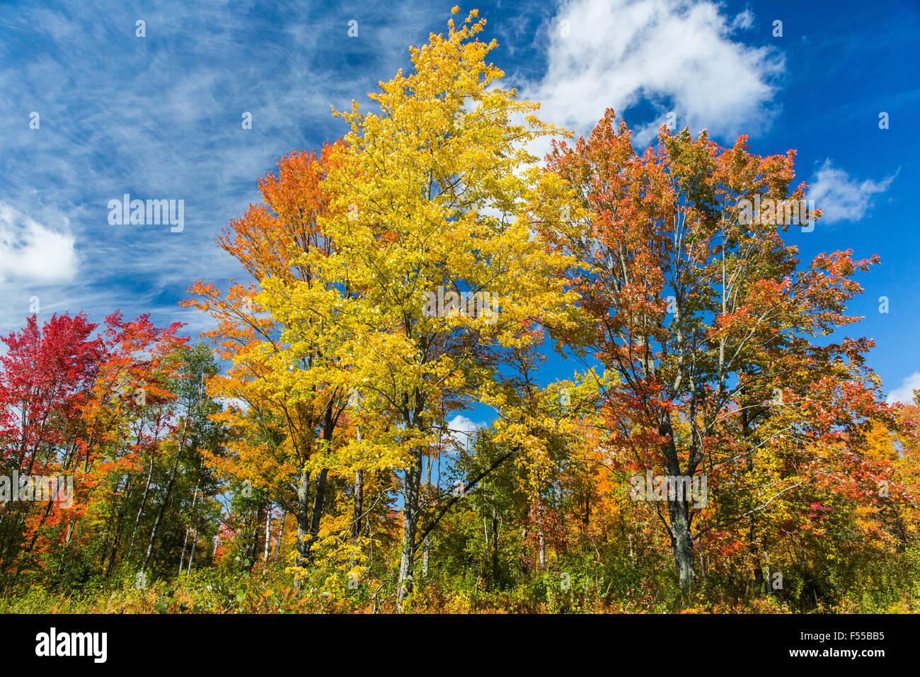 Changing scenery hi-res stock photography and images - Alamy