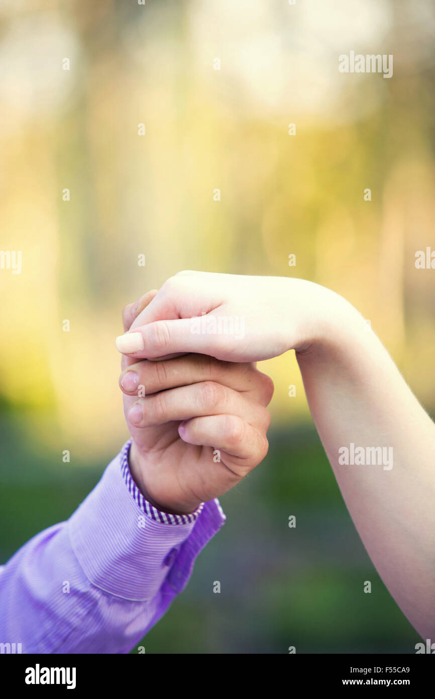 Beautiful female hands chamomile hi-res stock photography and images ...