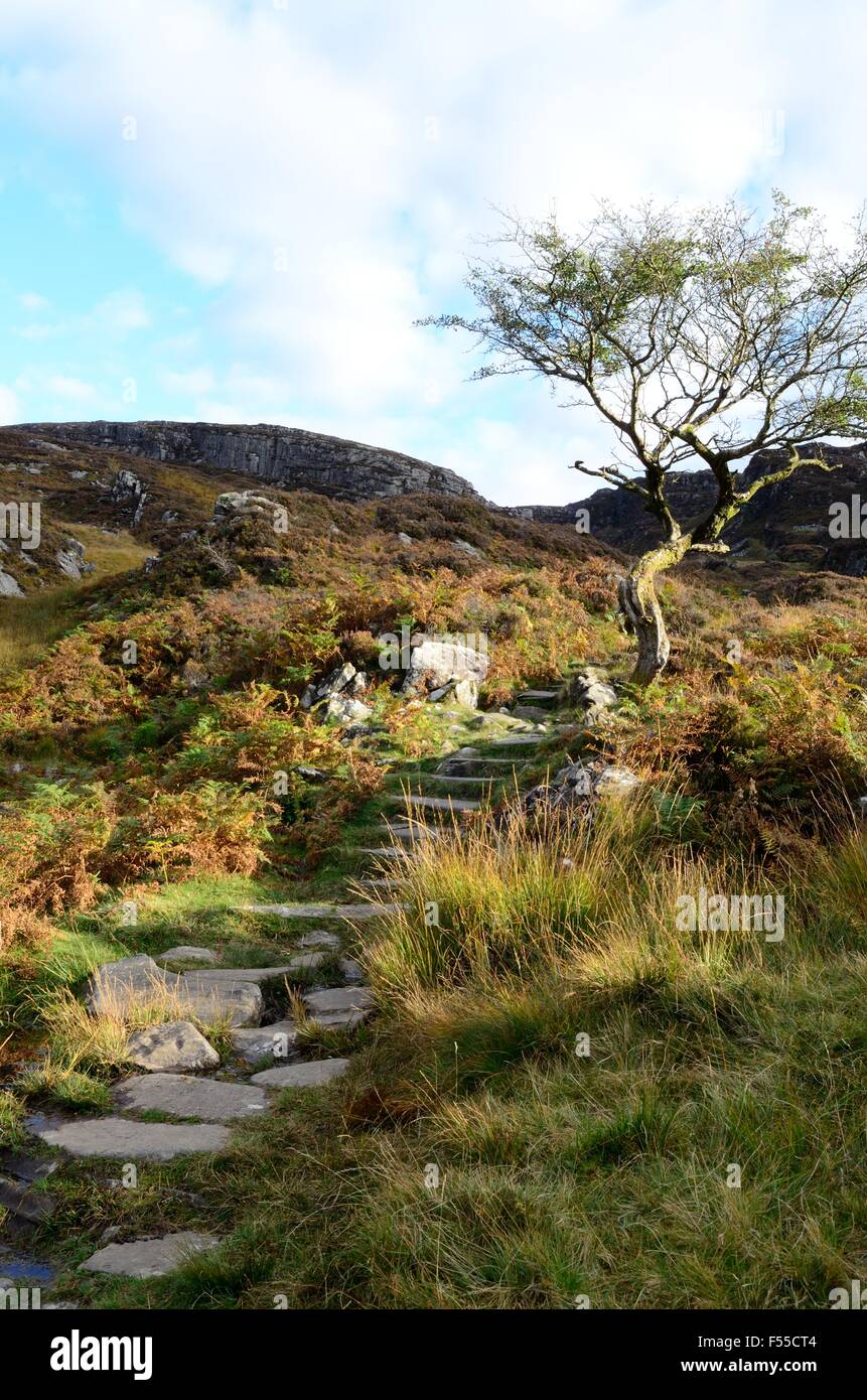 Roman Steps Rhinogydd Mountain Snowdonia Gwynedd Wales Cymru UK GB ...