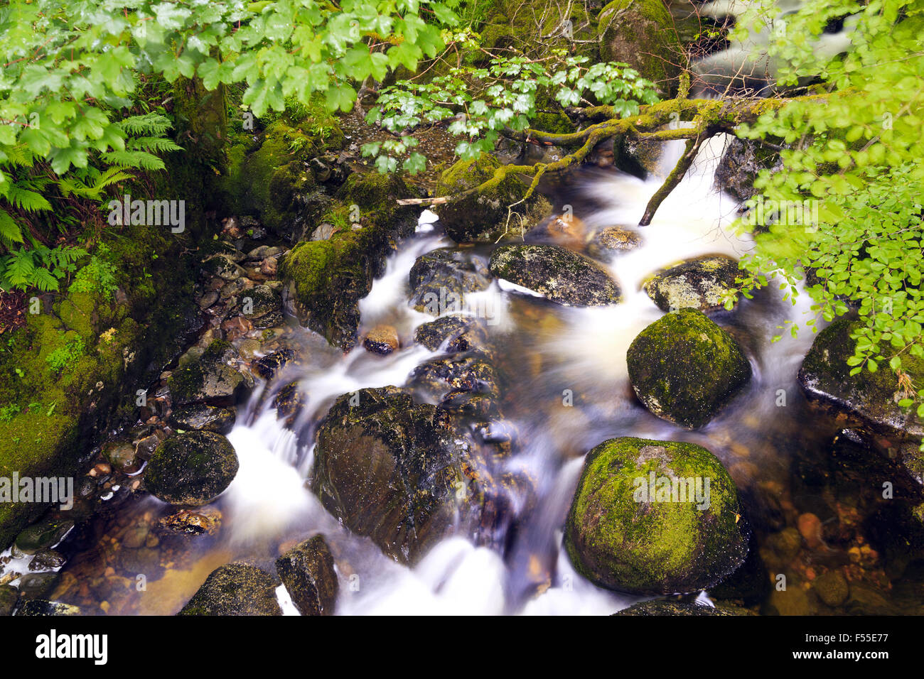 Benderloch High Resolution Stock Photography and Images - Alamy