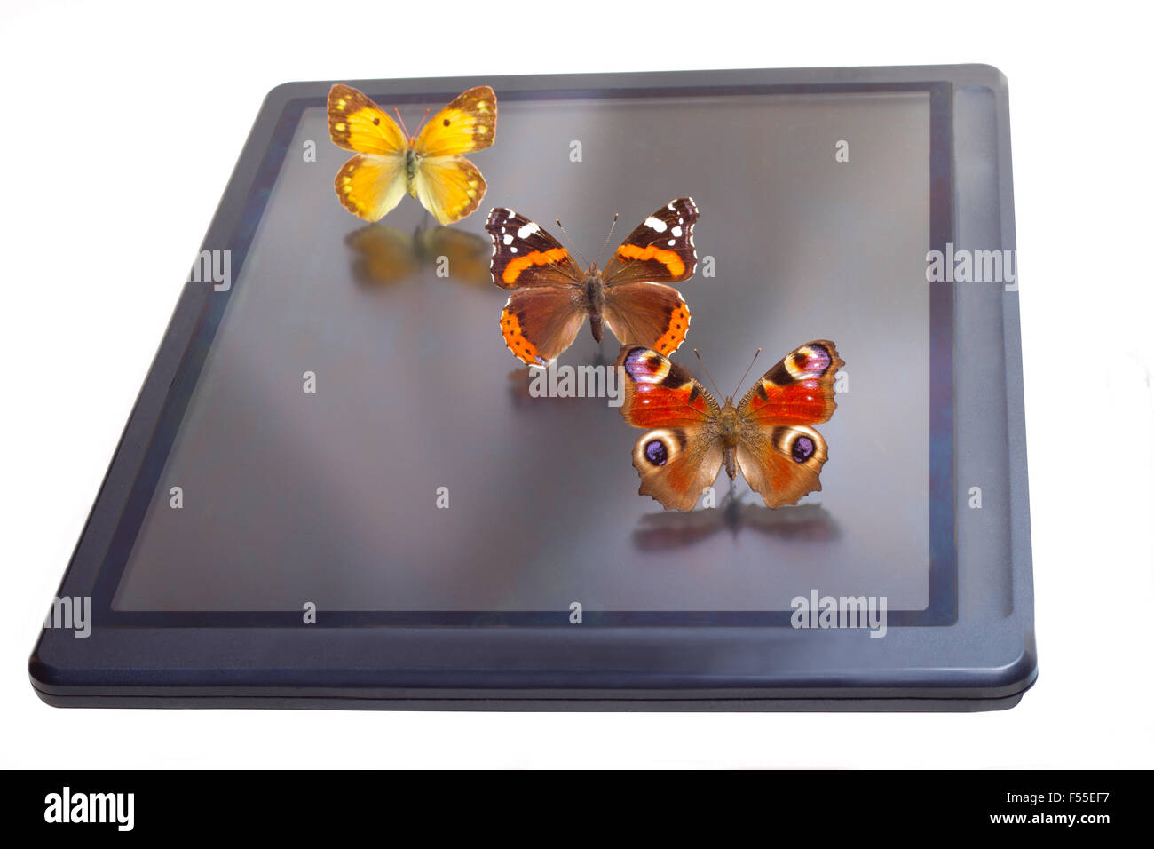 sensor tablet isolated on a white background Stock Photo - Alamy