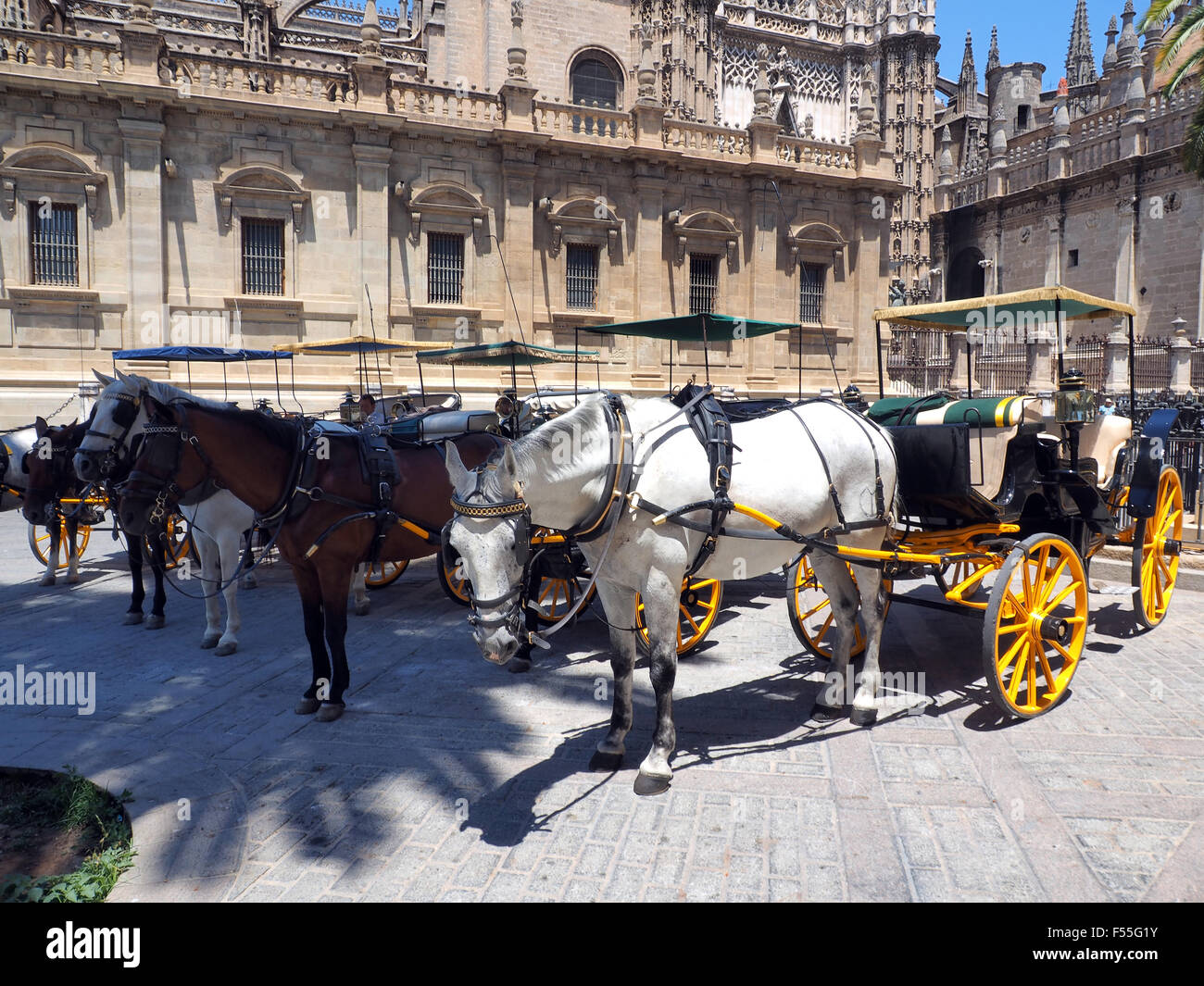 Traditional spanish cart hi-res stock photography and images - Alamy