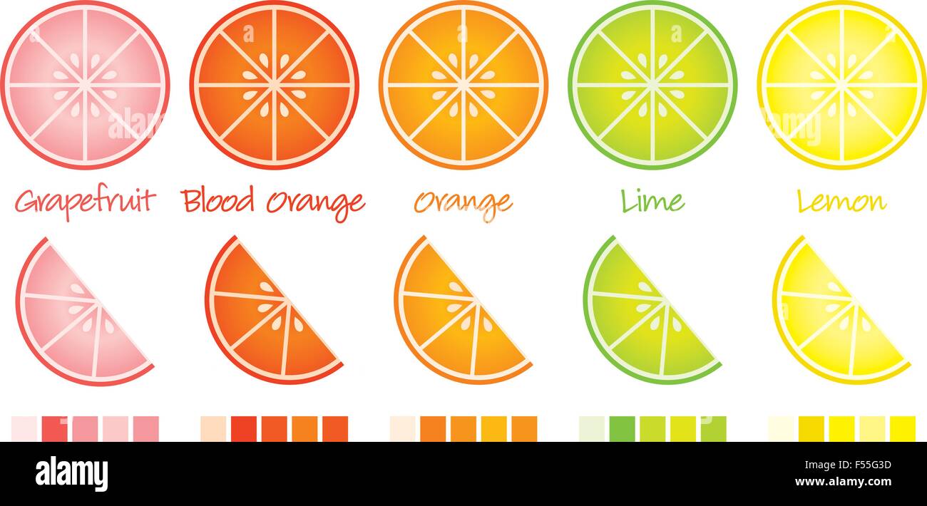 Wedges vector vectors hi-res stock photography and images - Alamy