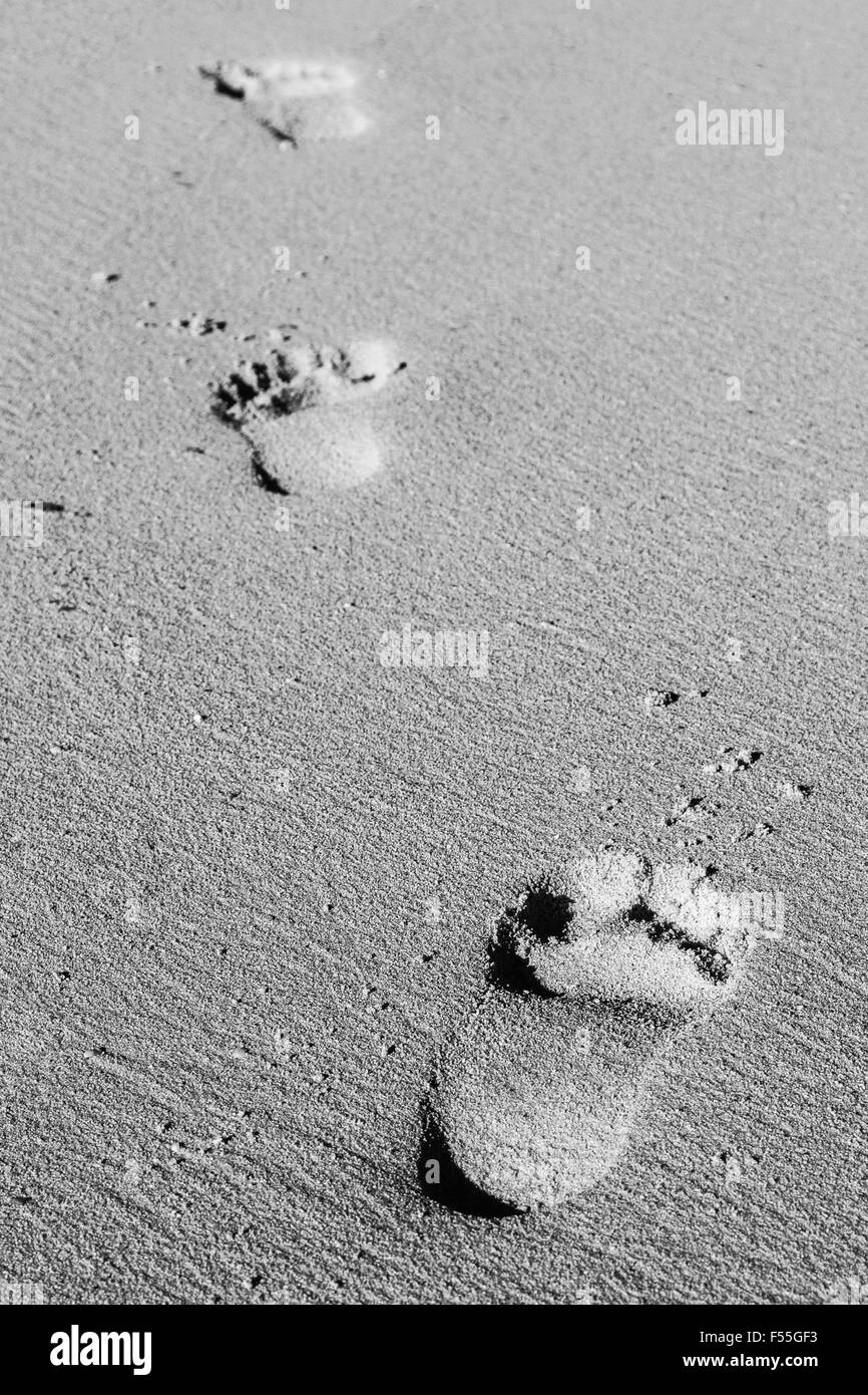 Three foot prints on the beach Stock Photo - Alamy